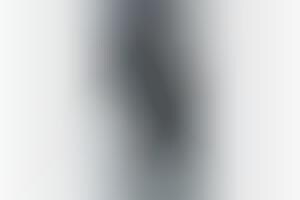 Berkeley Lower Extremity Exoskeleton: Giving Soldiers a Boost: