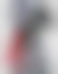 Terrier Toys: Humunga Tongue is a Ball of Fun for Fido