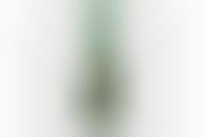 Topsu Turvy: Hanging Garden from Felknor Ventures: