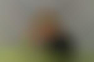 Napmosphere: Napping Cocoon