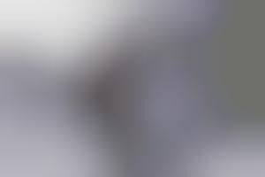 E-Ink Watches: Seiko Spectrum Watch Puts a Hefty Price Tag on Technology