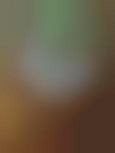 iPOD Concerto Table: