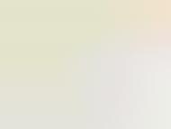 30 Get Rich Quick Schemes