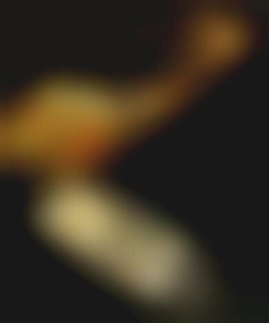 Trend Spotter's, Trend Hunter