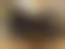 Converse Goes Jackass With Johnny Knoxville Shoes: