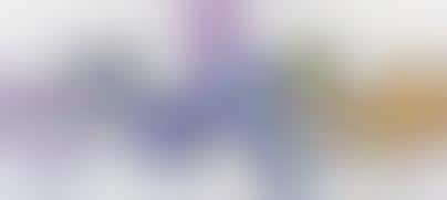 37 Salacious Suggestive Finds