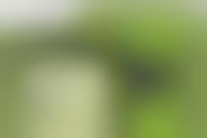 Fully Customizable Phone: Qtopia Greenphone with Linux