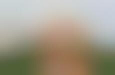 Canine Gold-Digger Ads : mars pet food frolic