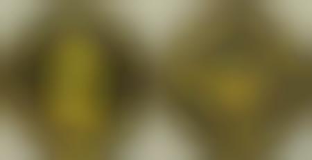 35 Clever Coin Finds