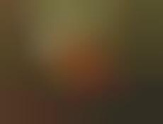 The Bench Toilet: Troy Adams Luxury Loo