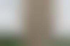 Rustic Woodland Churches: The Junquillos Chapel is a Picturesque ...