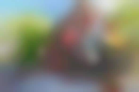 53 Unique Store Displays