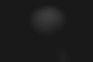 Flipping Hairtography : Mark Laroche