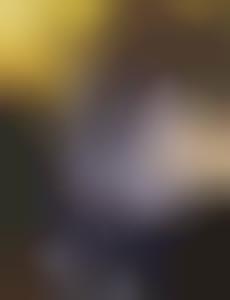 Chic Countryside Shoots : Michelle McCallum Grazia Magazine