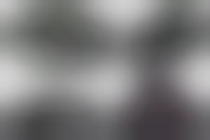 Inflatable Snow Shoes : Small Foot