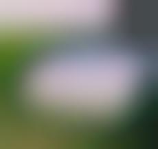 Cheeky Car Stickers : Funny Decals