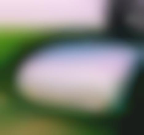 Cheeky Car Stickers : Funny Decals