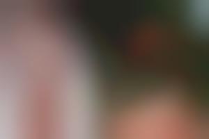 Wild Animal Runways : haute couture animal fashion