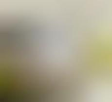 High-Tech Kitchen Necessities : CleanCut Paper Towel Dispenser