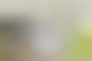 High-Tech Kitchen Necessities : CleanCut Paper Towel Dispenser