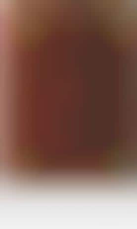 38 Privacy-Protecting Journals