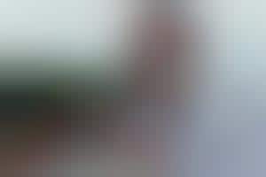 Chicken Coop Hotels : Chicken Hotel