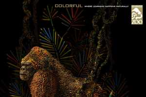 Collaged Animal Ads : Los Angeles Zoo Ads