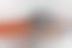 Flameless Camping Cookers : Jessica Damsma Outdoor Chef