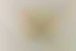 Zodiac Fashion Shoots : Tim Gutt