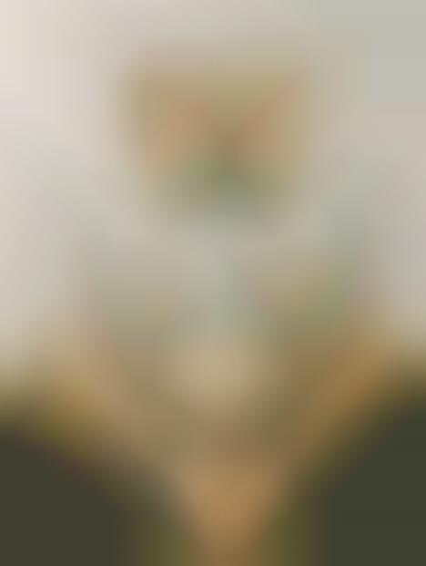 Zodiac Fashion Shoots : Tim Gutt