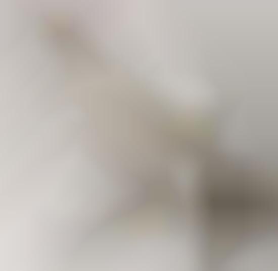 100 Examples of Recycled Art & Design