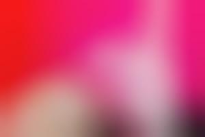 Funny Bunny Fervor : Freak Love Triangle