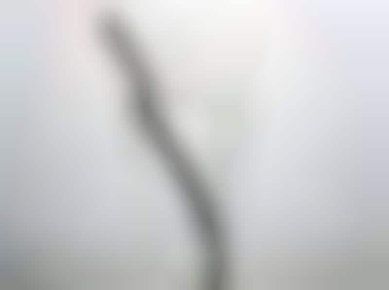 40 Marvelous Martinis