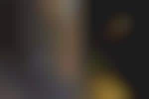 $35,400 Golden iPhones : Victoria Beckham's Golden Stuart Hughes iPhone