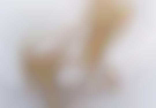 Shapely Wood Seating : Plywood: Material, Process, Form