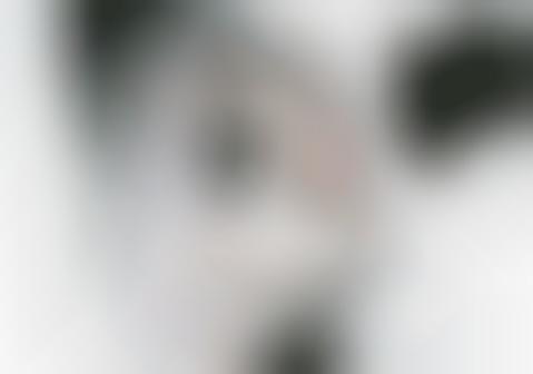 100 Distorted Fashion Features