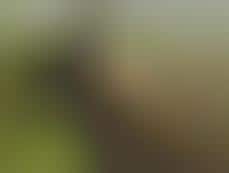 Prefab Disaster Housing : The Cusabo Island home