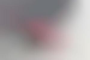 Marine Memory Sticks : Dolphin Flash Drive