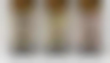 Wordy Booze Branding : Lorem Wine by Alex Macsoda