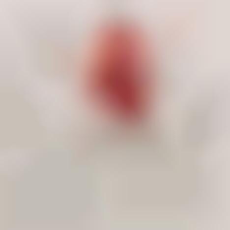 30 Provocative Advertising Efforts