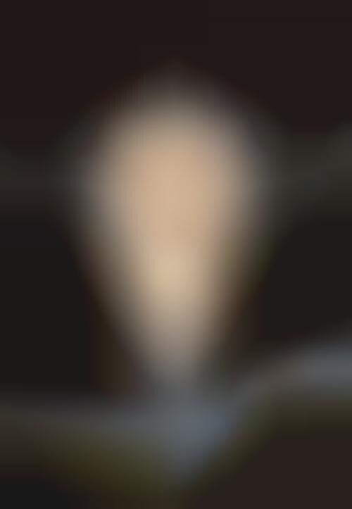 100 Eccentric Chandeliers