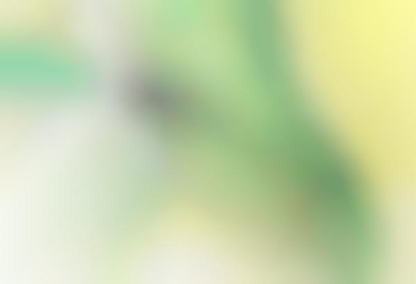 70 Fantastical Watercolor Features