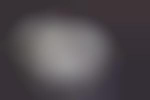 Cardboard Facial Sculptures : Scott Fife