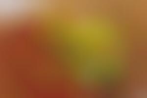 Gamer Bento Boxes : Zelda Bento Box