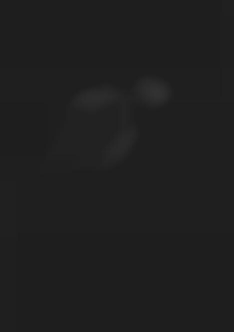 Wordy Booze Branding : Lorem Wine by Alex Macsoda