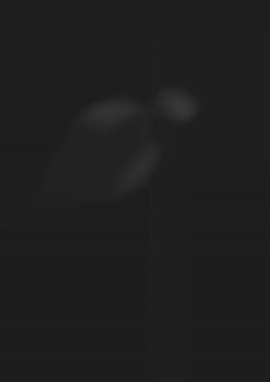 95 Examples of Badass Booze Branding