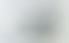 Solar-Powered Computer Monitors : Sunflower Monitor