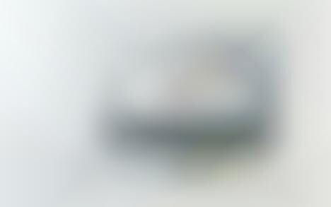 Solar-Powered Computer Monitors : Sunflower Monitor