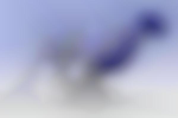 Robotic Jungle Cats : Cheetah Bot