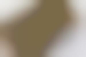 Magnetic Strip Money Savers : Zenona Piggy Bank